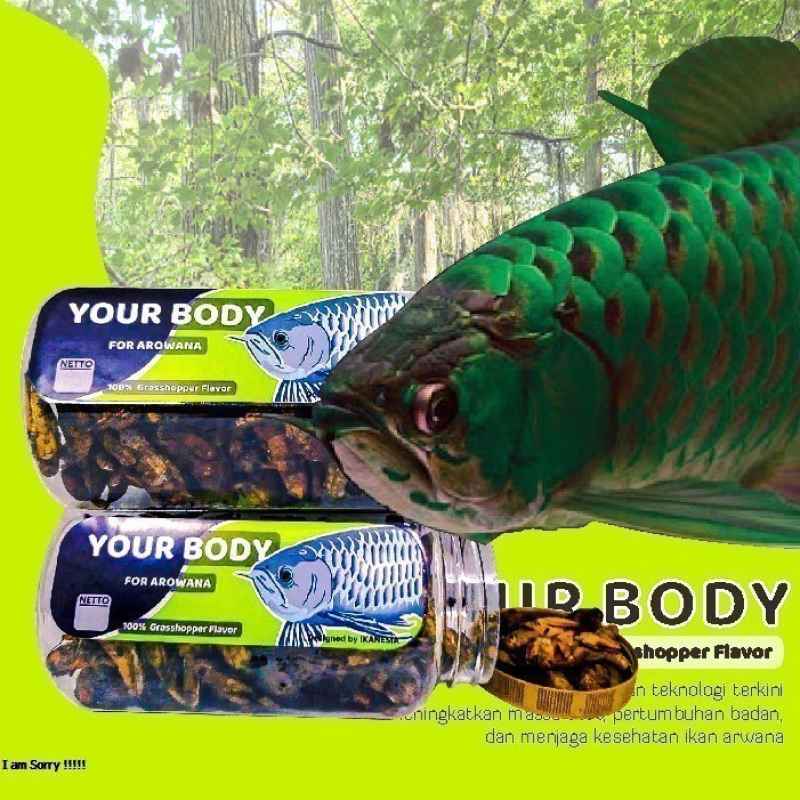 Jual Pakan Pelet Makanan Ikan Arwana Your Body Belalang Kering IKANESIA ...