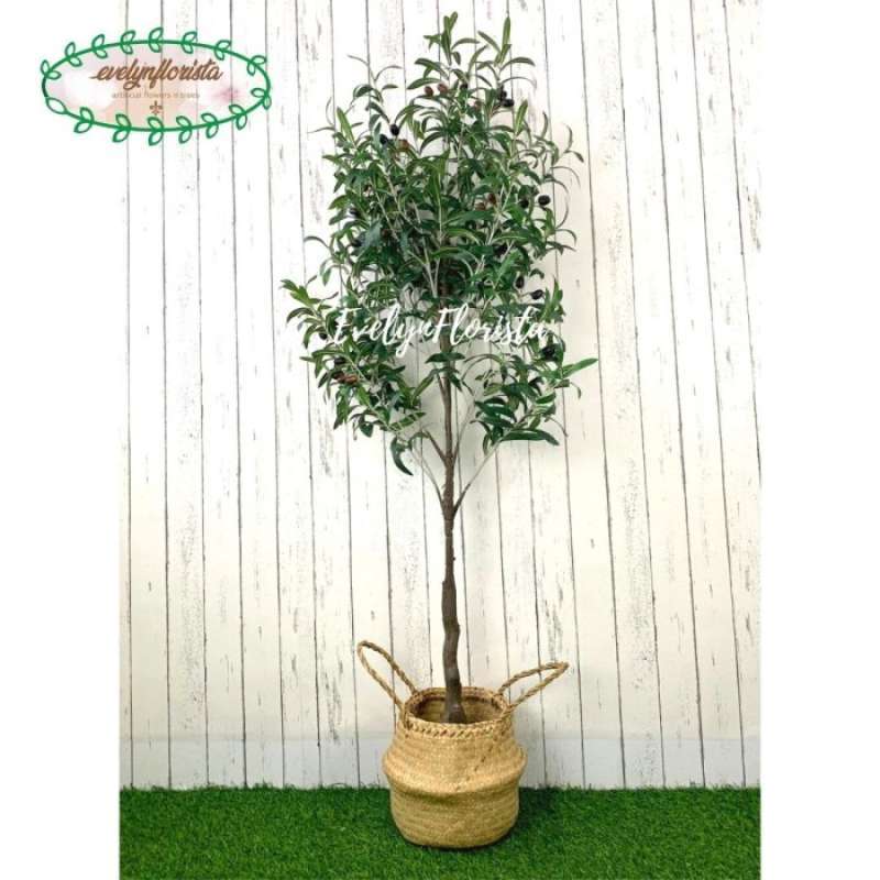 Promo Pohon Zaitun X2 T150 Latex Artificial Olive Tree Purun Belly ...