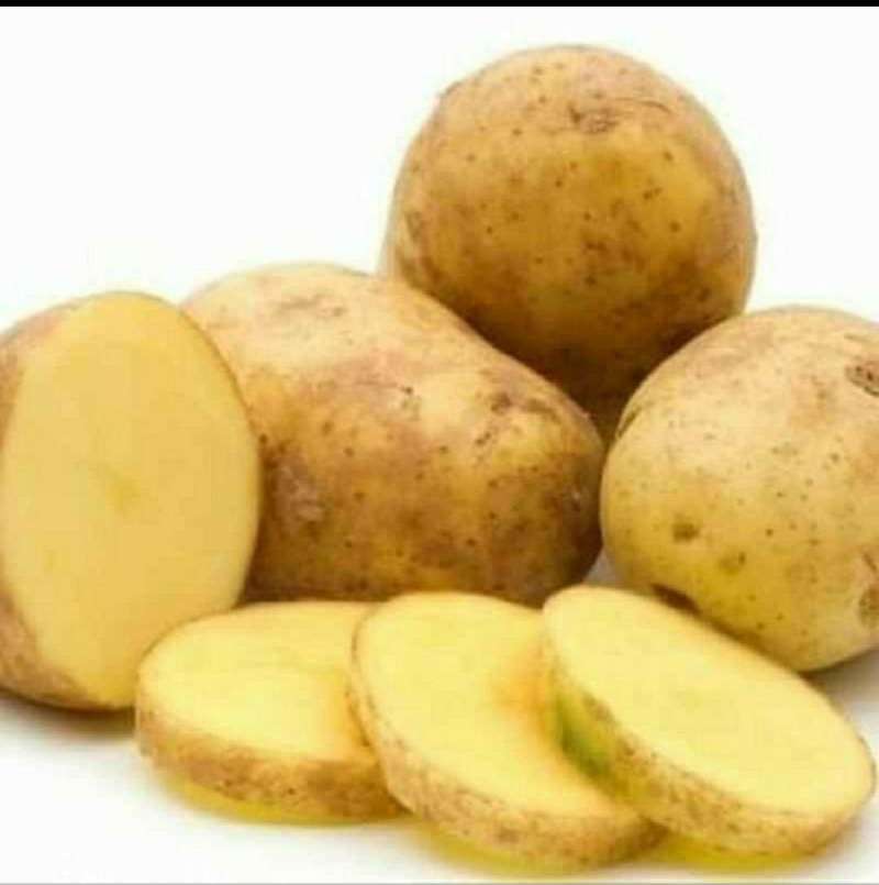 Jual Kentang Dieng 1kg Halal di Seller Sahabat Horeca - Margahayu, Kota ...