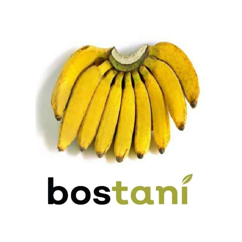 Jual Pisang Raja Bulu [1 kg] di Seller Bostani - Kota Cimahi, Jawa ...