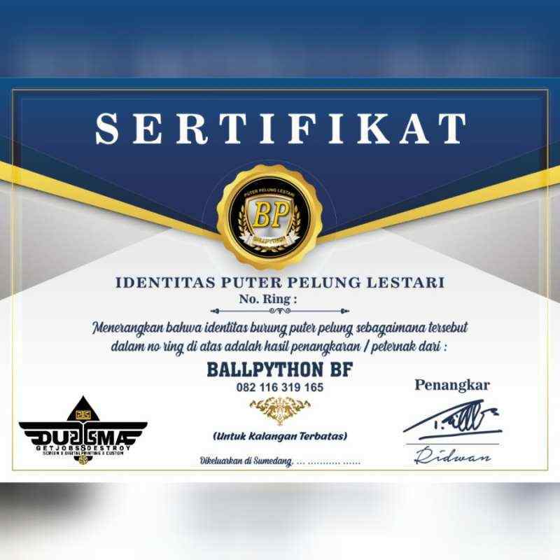 Jual Cetak Sertifikat / Cetak Piagam A4 Di Seller Duma.inc - Pengkol ...