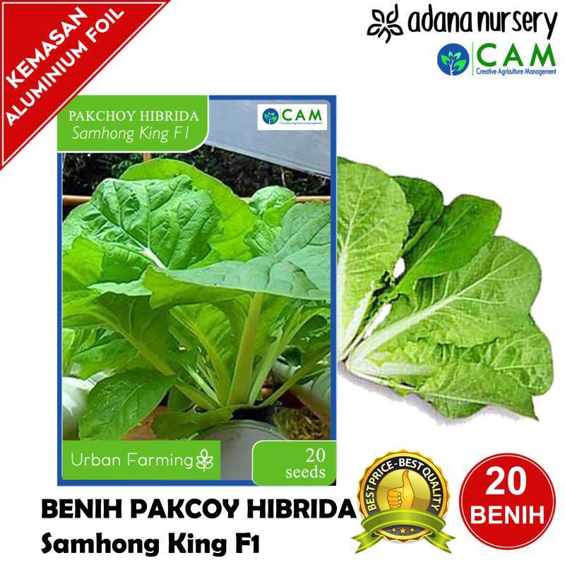 Promo Benih / Biji Sawi Pakcoy Hibrida SAMHONG King Repack - 20 Seeds ...