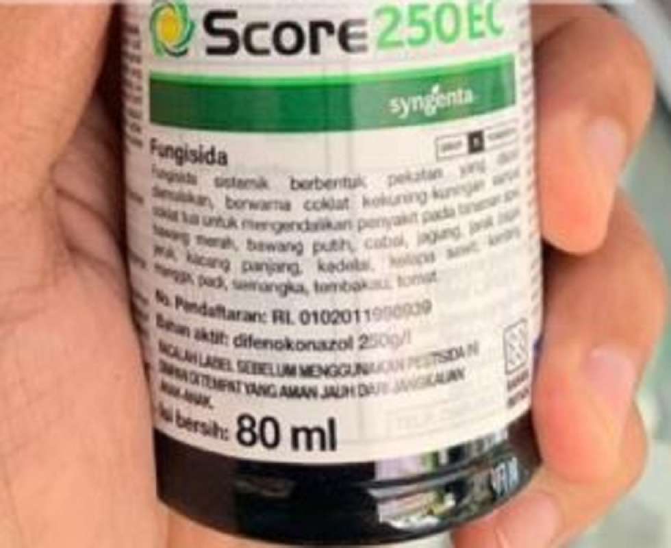 Jual Fungisida SCORE 250EC 80ml di Seller Pupuk obat tanaman - Kab ...