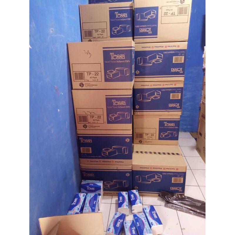 Jual Tessa Natural Soft Facial Tissue [250 Sheets/ 2 Ply] Tisu Tesa 1/2 ...