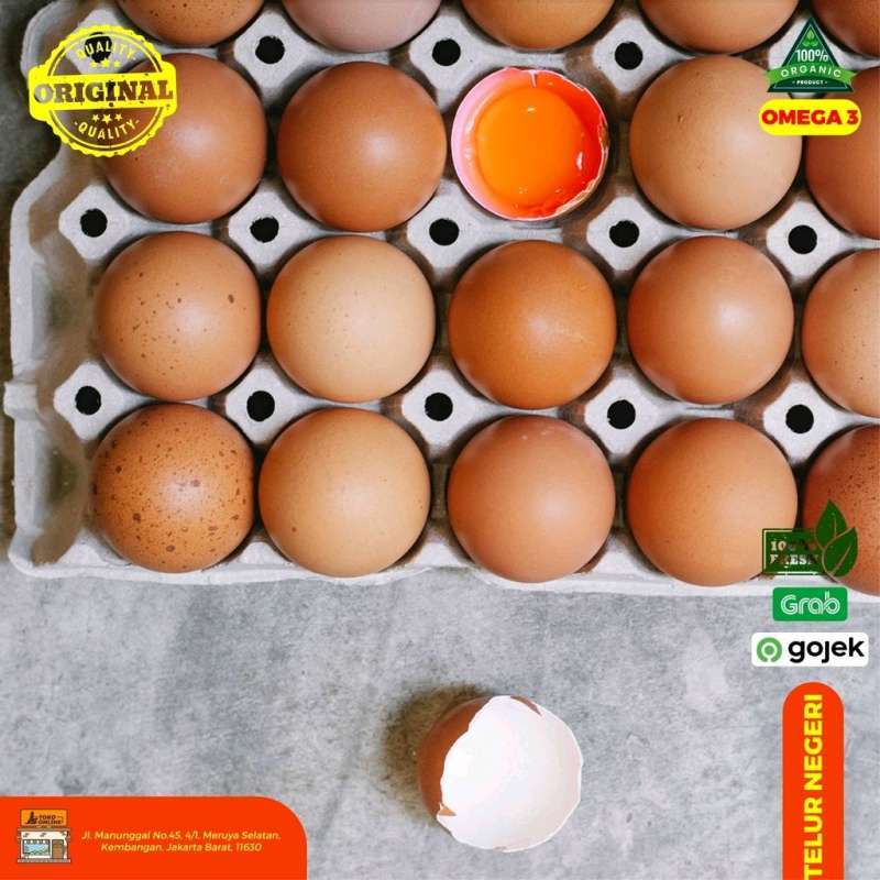 Perbedaan Telur Omega dan Biasa, Cek Disini!