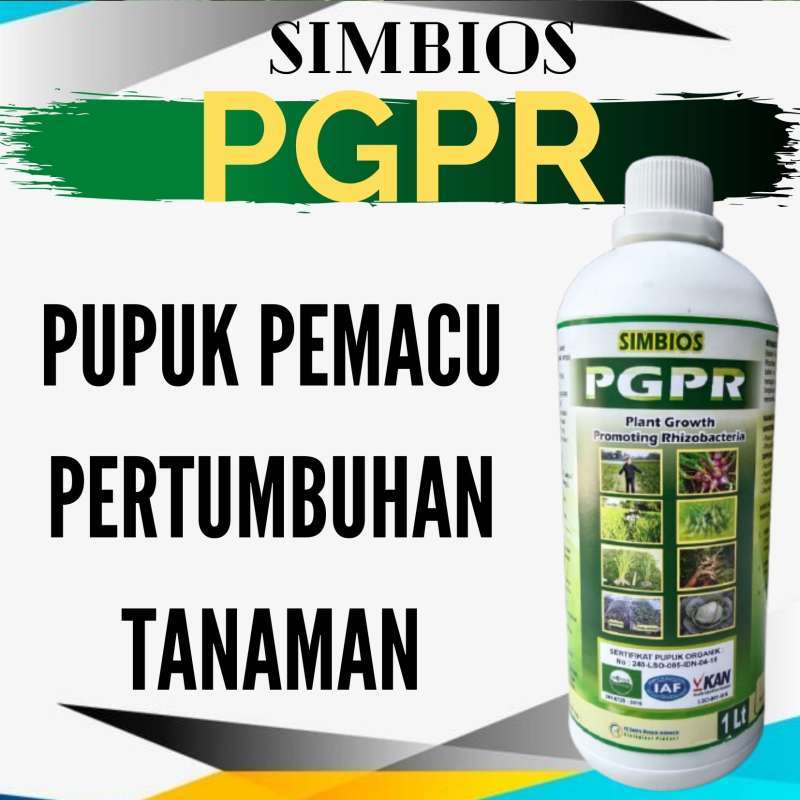 Jual Pupuk Padi Hayati Original Murah - Harga Diskon Juni 2024 | Blibli.com
