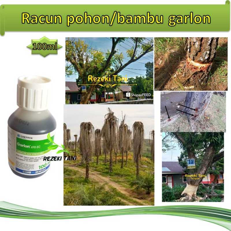 Jual Dupont Garlon Herbisida Racun Rumput Pohon Kayu [100 Ml] Di Seller ...