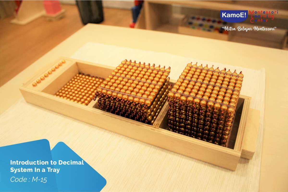 Jual Introduction to Decimal System in a Tray Montessori Material di ...
