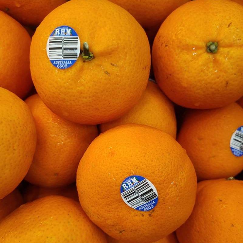 Jual Jeruk Royal Honey Murcot Termurah - Sukabuah Di Seller Sukabuah ...