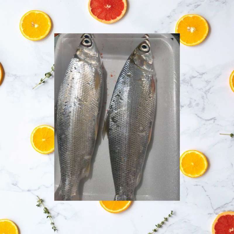 Jual Ikan Bandeng Segar 1/2 Kg Halal di Seller ikantukang15 - Jatipulo ...