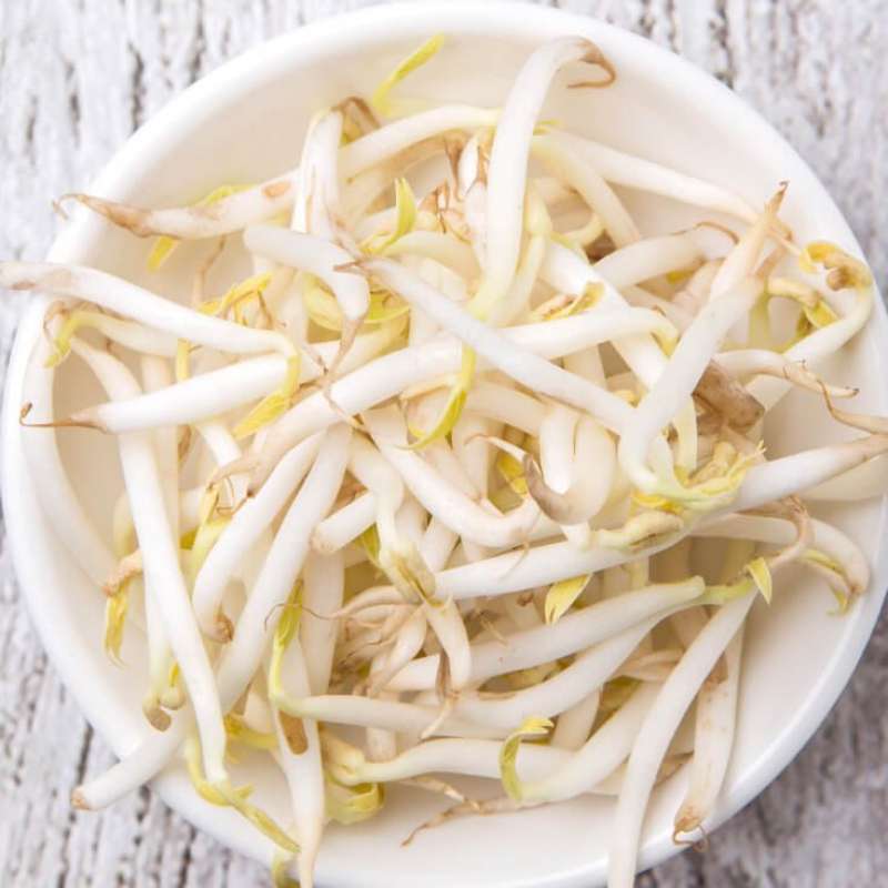 Jual Tauge/toge Fresh [500 Gr] Di Seller Yusapharma - Grogol, Kota ...