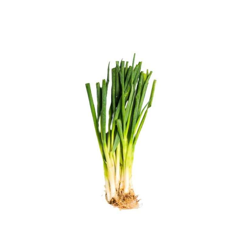 Jual Daun Bawang Harga Grosir Hari Ini Mei 2026 | Blibli
