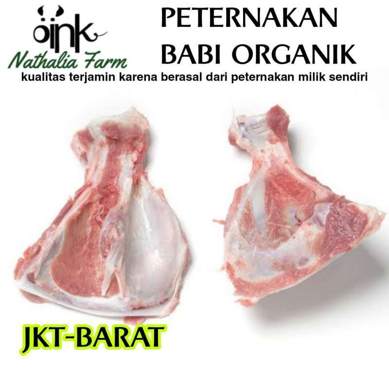 Jual NFKPork 1 Kg - TULANG CENTONG / TULANG MUDA - Organic Pork ...