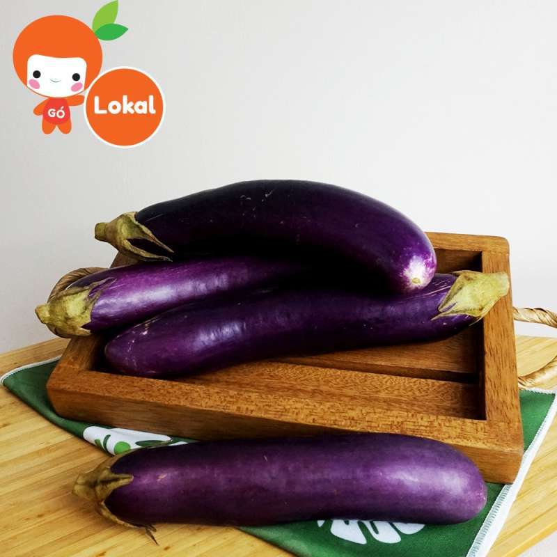 Jual Terong Ungu 500 Gram Halal di Seller GOFRUIT ID - Meruya Utara ...
