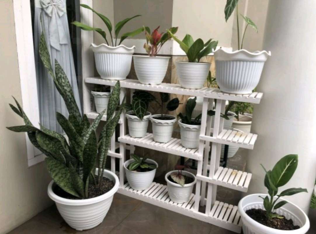 Jual Rak tanaman kayu model panjang 115x20x80 di Seller Naufal RnM ...