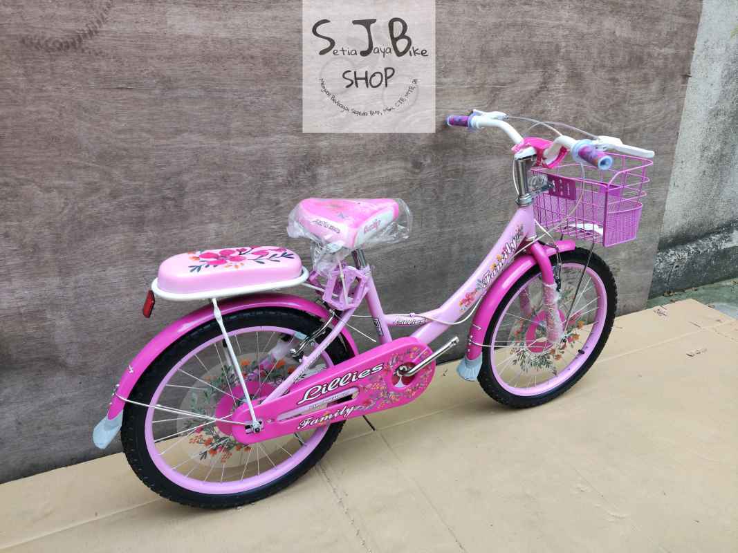 Jual Sepeda Anak Mini Keranjang 20 Inch Family Lilies New Di Seller ...