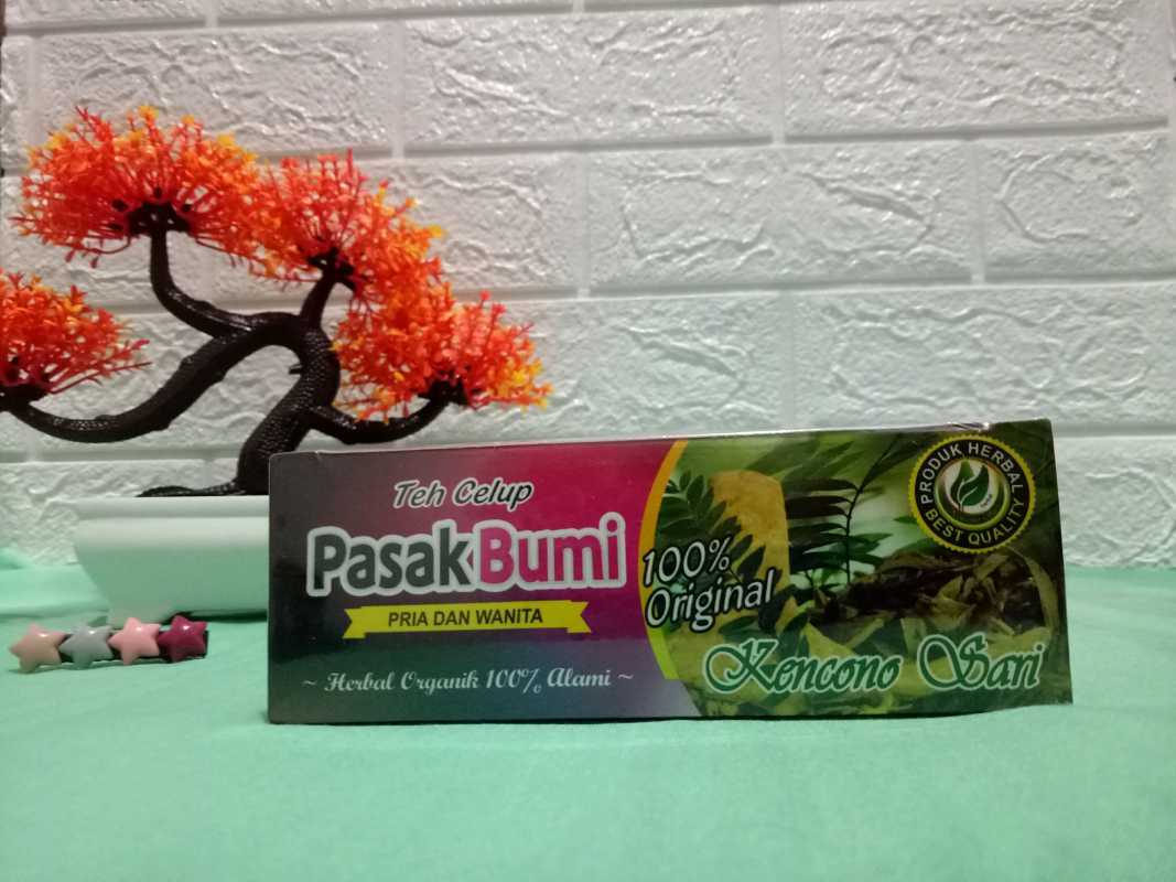 Jual Teh Celup Pasak Bumi herbal pegal linu atau herbal perkasa di ...