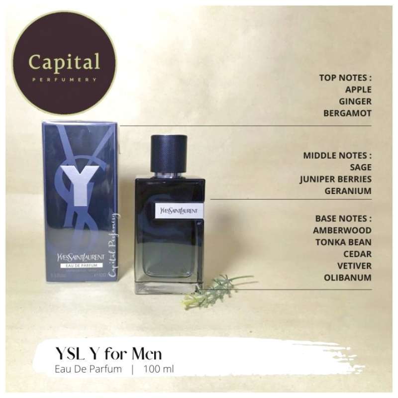 Jual Jual Ysl Y Man Edp 100ml Di Seller Agung Company - Wijaya Kusuma ...