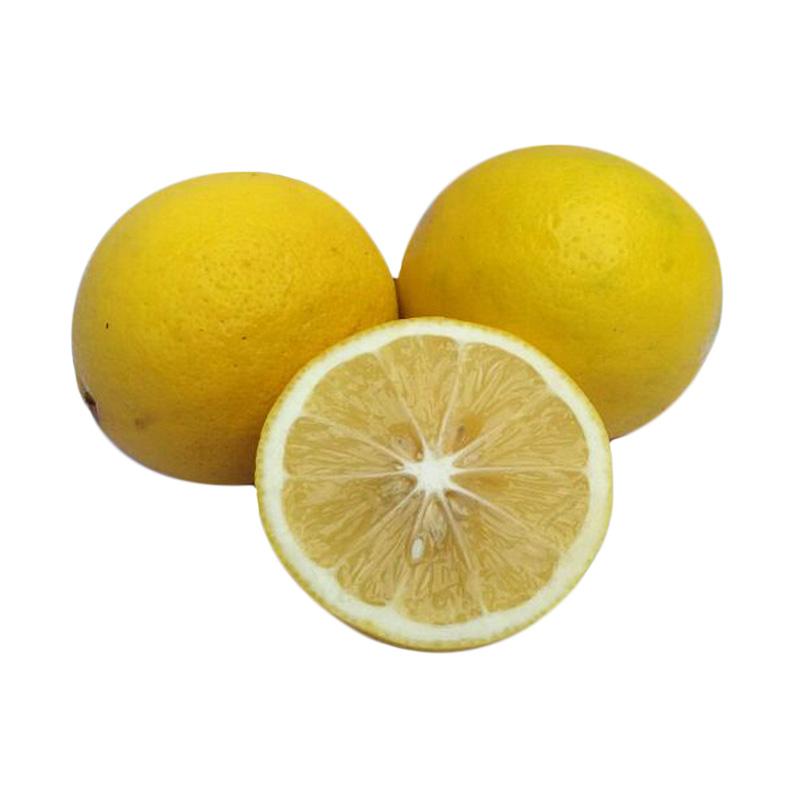 Jual Buah Lemon 1 Kg Termurah - Harga Grosir Terupdate Hari Ini | Blibli