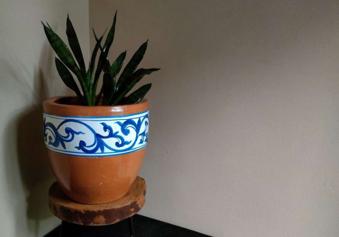 Jual Pot Bunga Warna Terakota Di Cat Gambar Bunga Biru Putih Lukisan ...