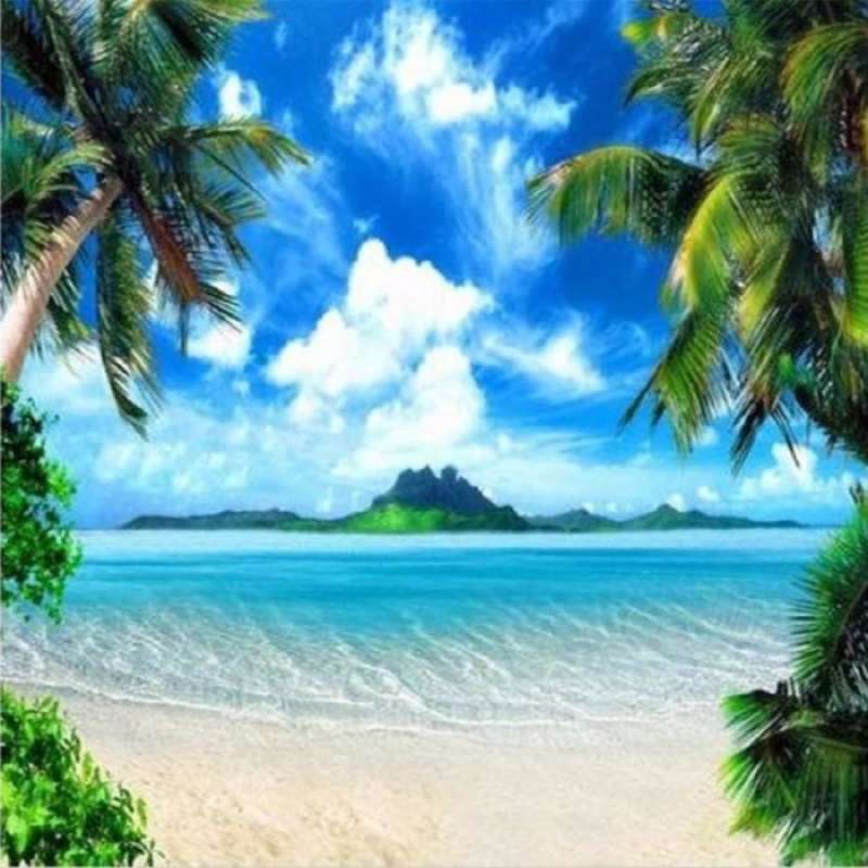 Jual 3C-Studio Fotografi Prop Latar Backdrop Model Pantai Pohon Palem ...