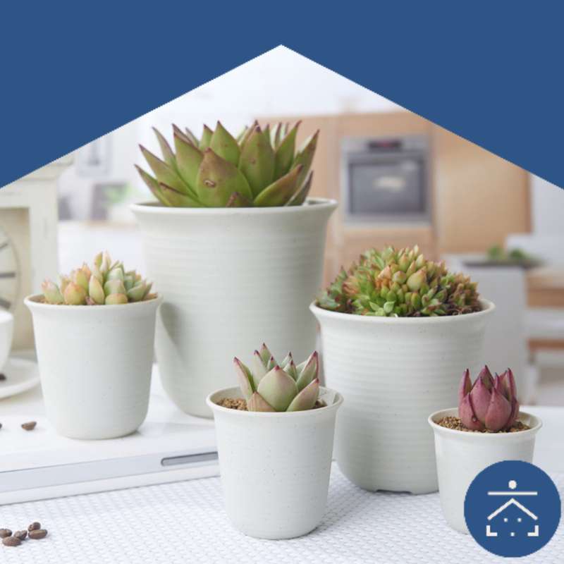 Jual Pot Bunga Murah Hias Besar Tawon Tanaman Bunga Vas Pajangan Rumah ...