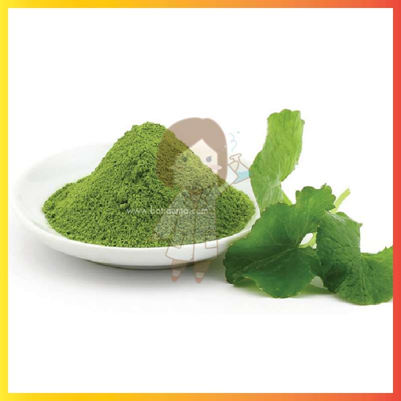 Jual CENTELLA ASIATICA EXTRACT POWDER DAUN PEGAGAN BUBUK 50GR di Seller ...
