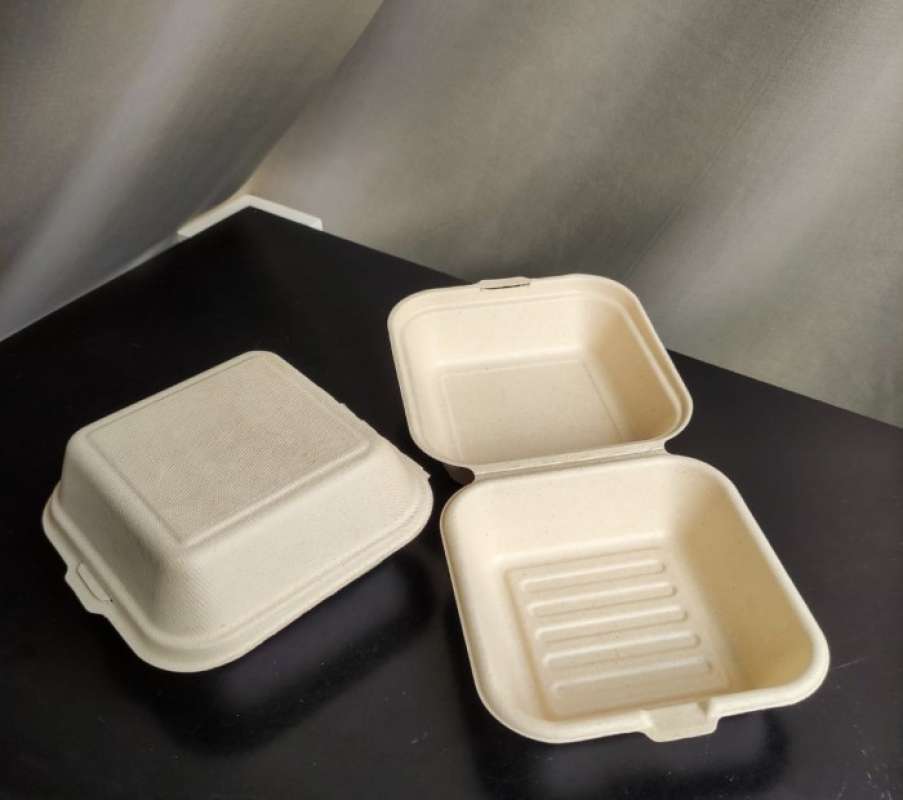 Jual RECOMMENDED Bagasse Clamshell 6 inch Burger Box 450ml NATURAL ...