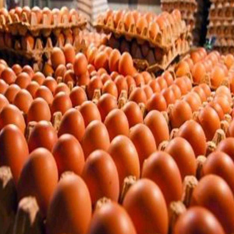 Promo telur ayam negeri 1kg 16-17 Diskon 7% di Seller Pirdaus sembako ...