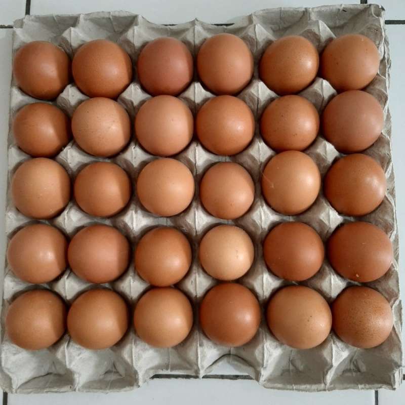 Jual Telur Ayam Negeri 10 Kg Halal Di Seller Toko Telur Sabar (bintaro ...