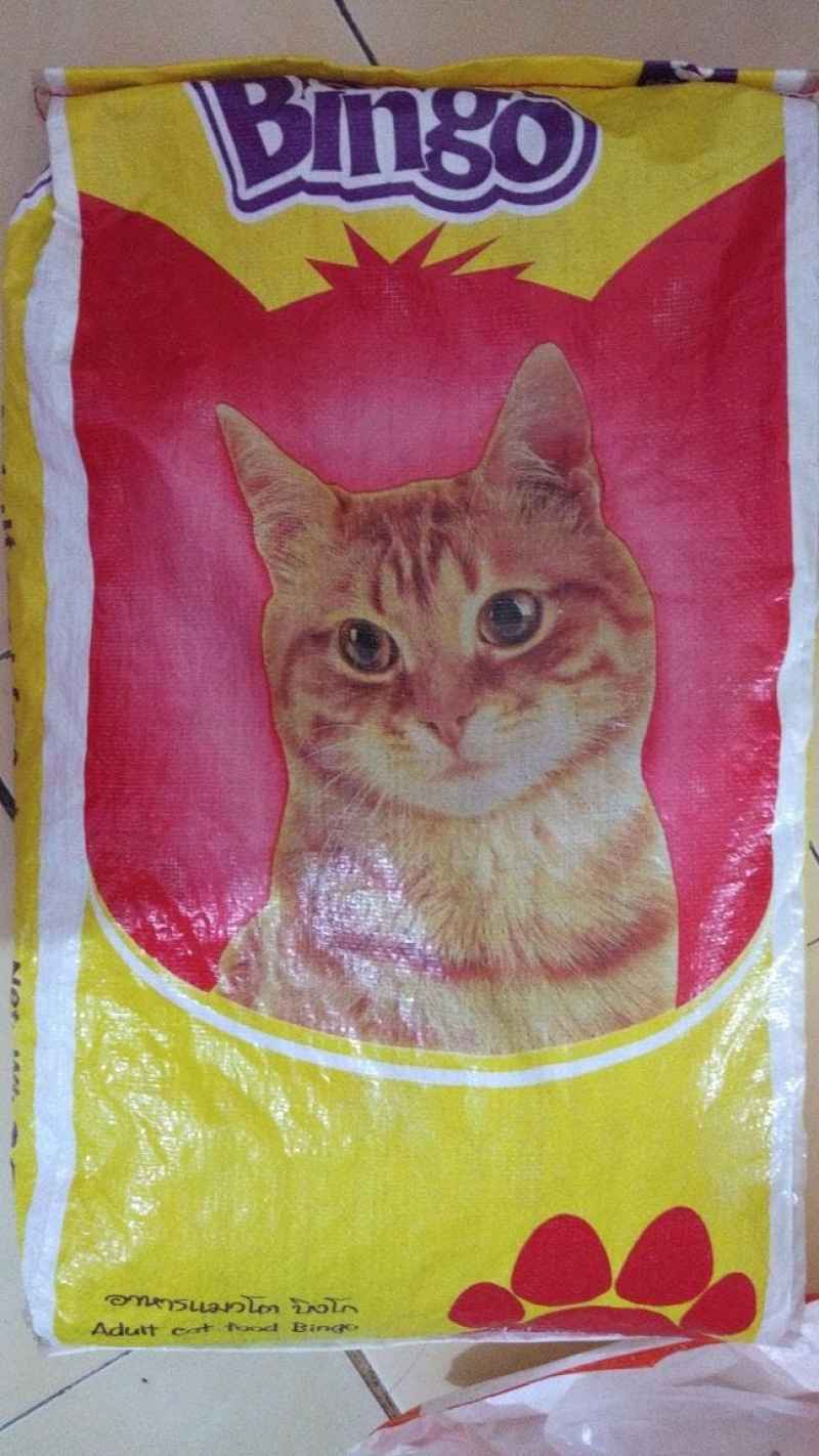 Jual Bingo Adult Cat Repack 500 gram - Makanan Kucing - 500 Gr di ...