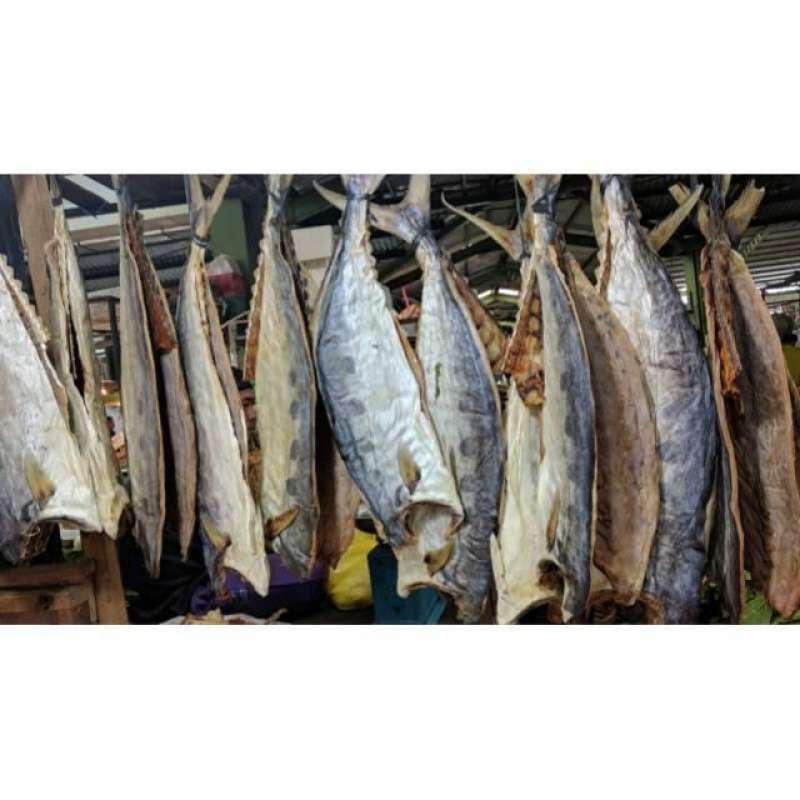 Jual Ikan Asin Jan Pu Termurah - Harga Grosir Terupdate Hari Ini | Blibli