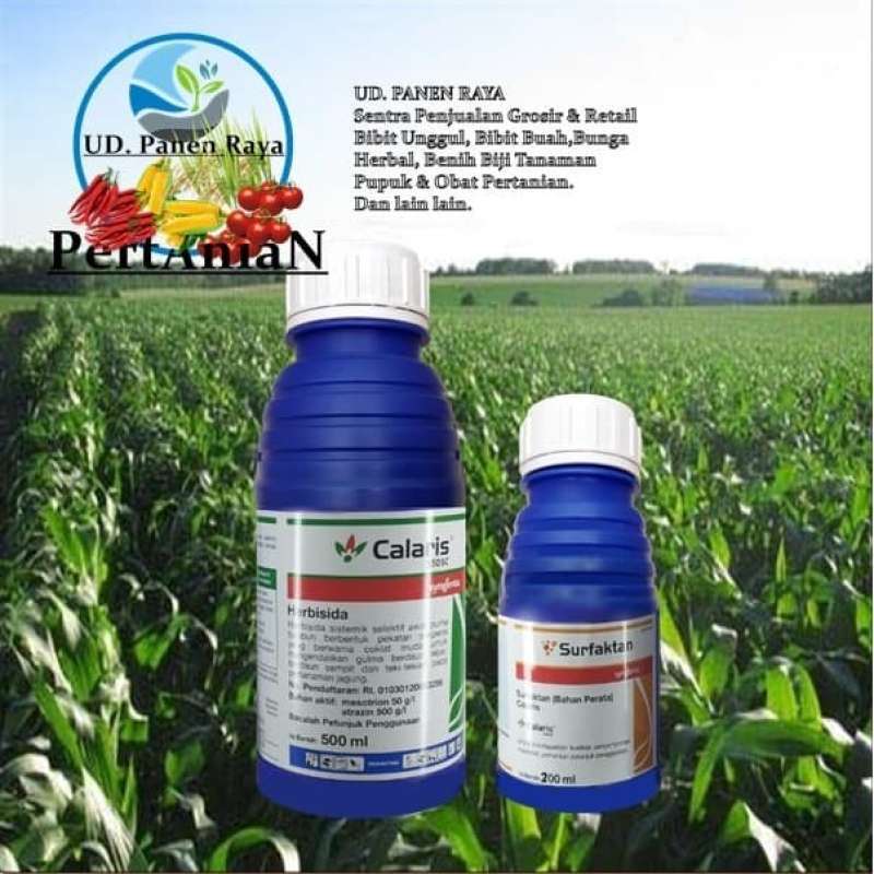 Jual Obat Anti Gulma Untuk Tanaman Jagung Herbisida Calaris Surfaktan ...
