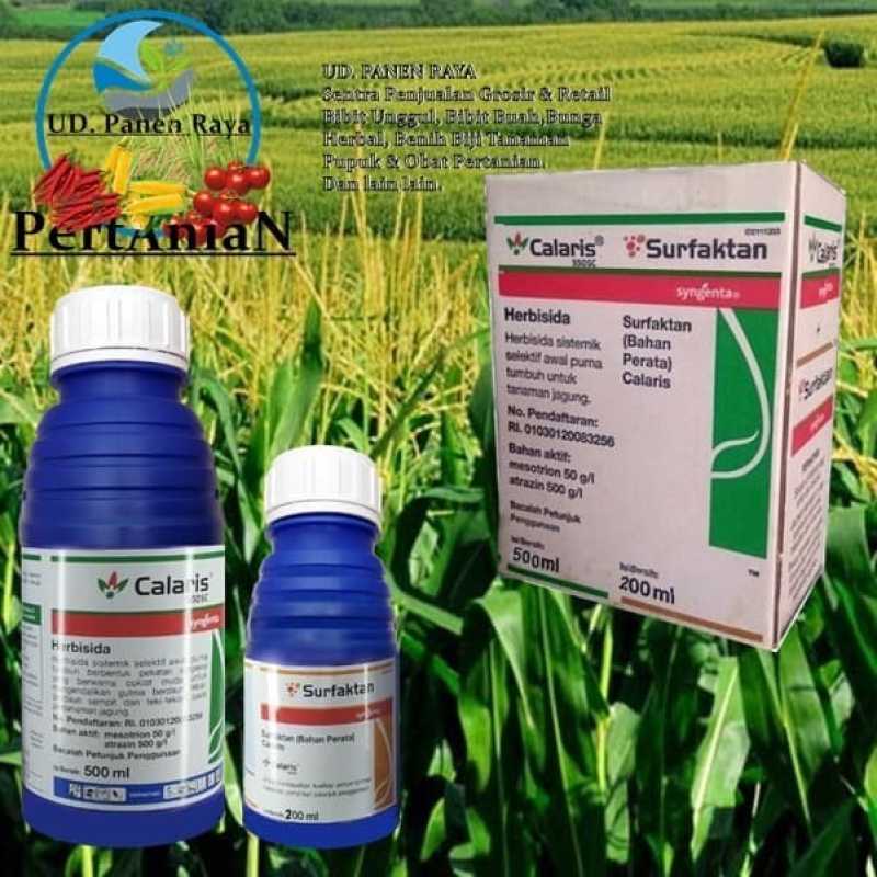 Jual Obat Anti Gulma Untuk Tanaman Jagung Herbisida Calaris Surfaktan ...