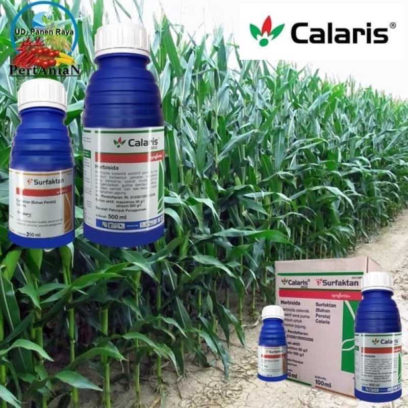 Jual Obat Anti Gulma Untuk Tanaman Jagung Herbisida Calaris Surfaktan ...