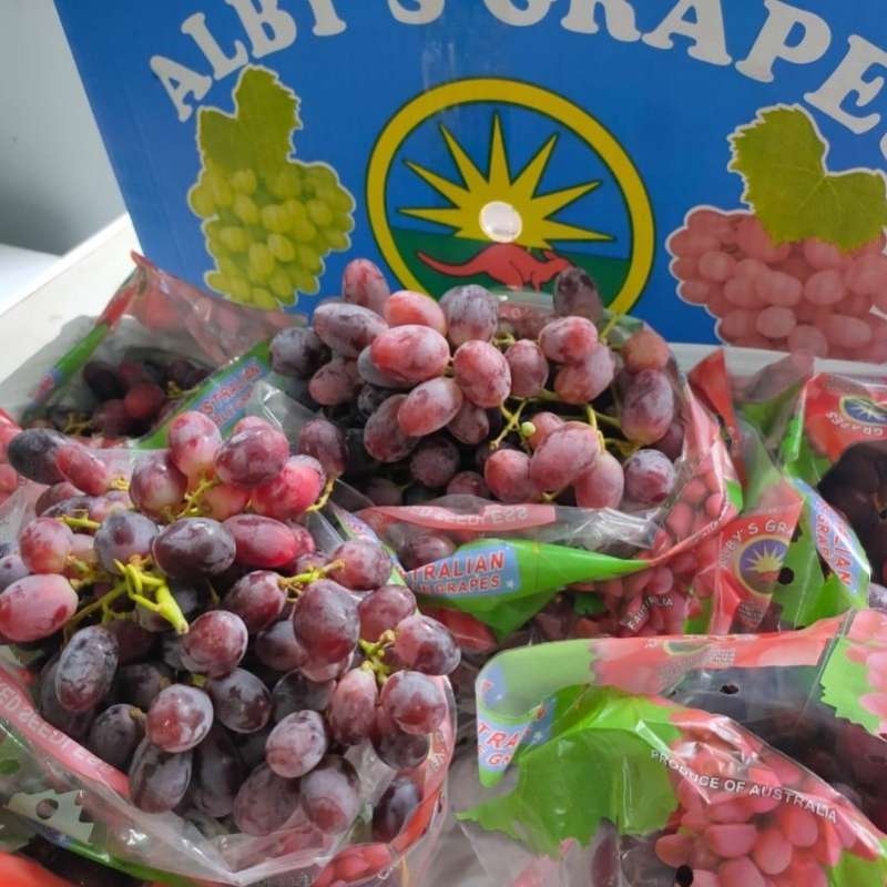 Jual Hasilsumberalam Anggur Merah Alison Red Seedless Grapes Alby's ...