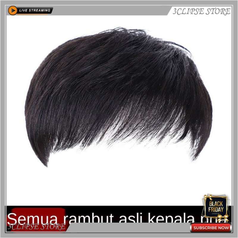 Promo Wig Rambut Palsu Pria Wig Pria Pendek Rambut Kepala Potongan Ram ...