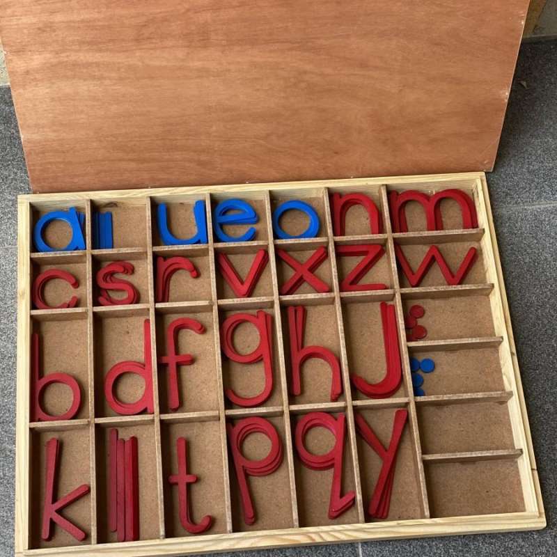 Jual Large Movable Alphabet Montessori / Lma Montessori Di Seller ...