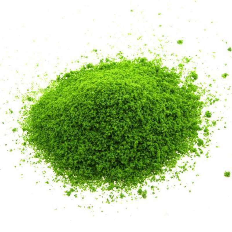 Jual 3xLight Green Granular Shape DIY Foliage Sponge Leaves Model Mini ...