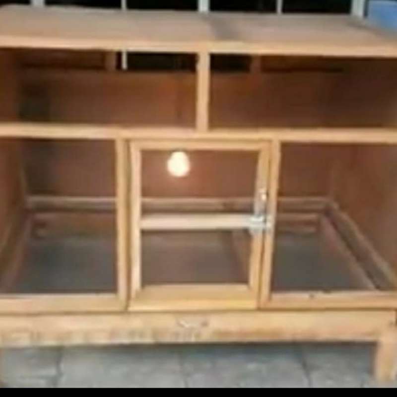 Kandang Doc Ayam Kampung