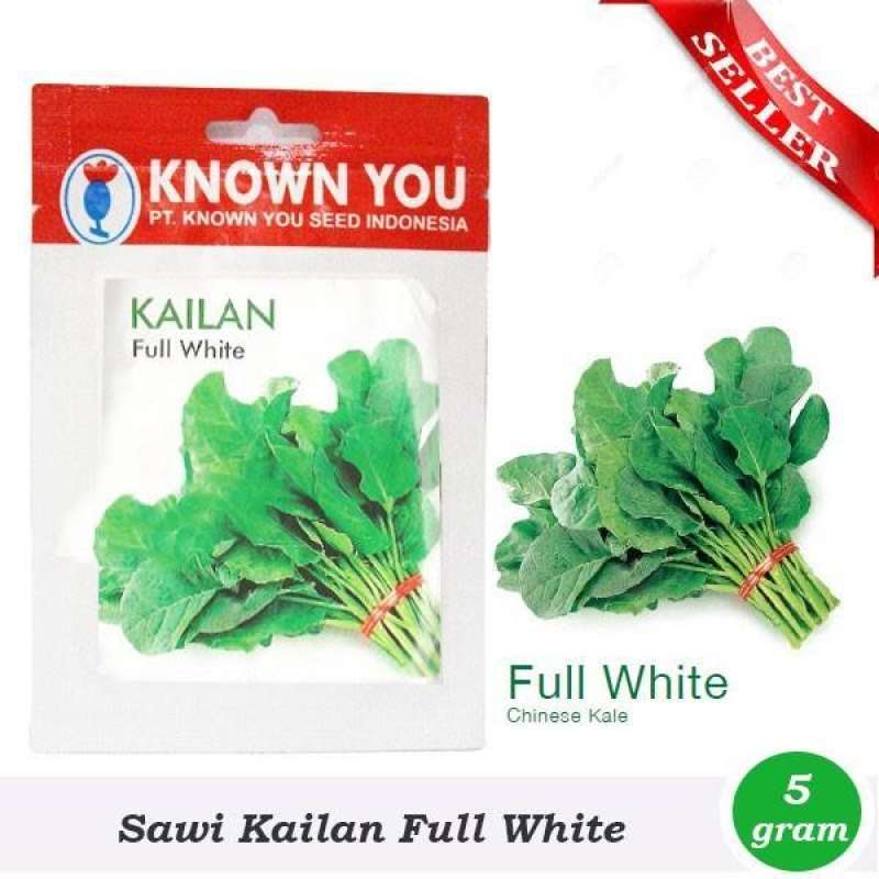 Jual Benih Bibit Sayuran Kailan Full White 5 gram Known You Biji Seed ...