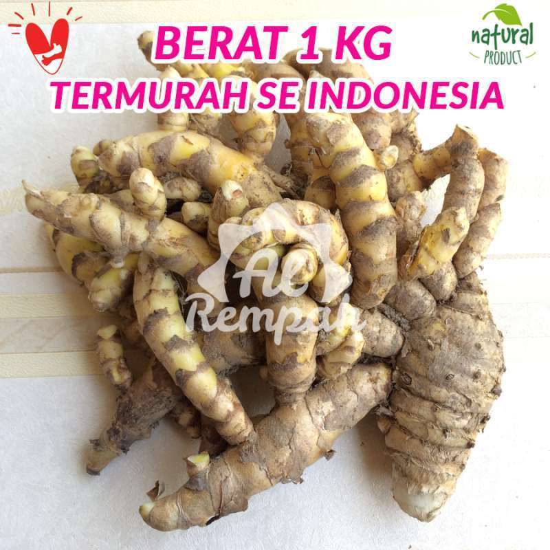 Jual Temu Giring Atau Temu Segar Organik 1 Kg - Gunung Kidul Di Seller ...
