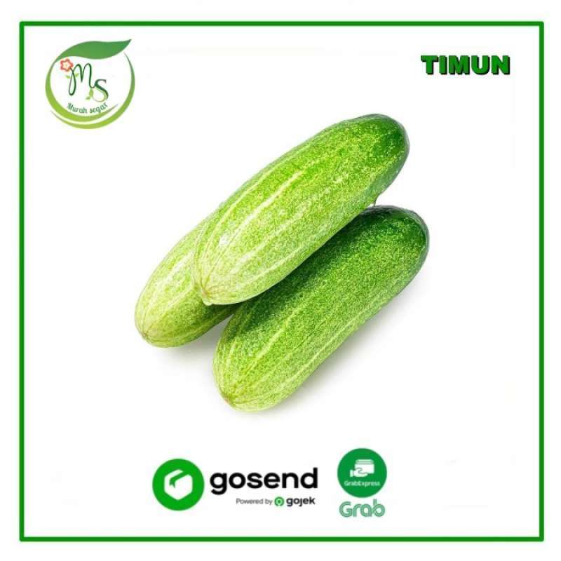 Jual Timun Lokal Segar Sayuran Dan Lalapan Segar Halal di Seller Murah ...