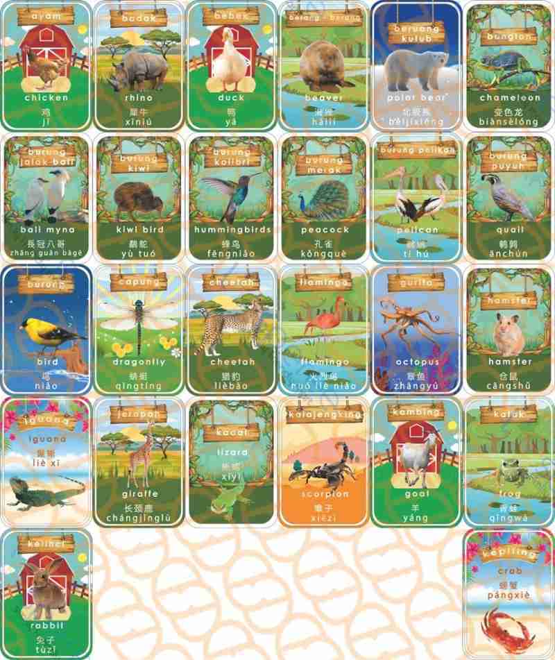Jual Kartu Belajar Hewan Gambar Asli / Flash Cards Animal Real Image ...