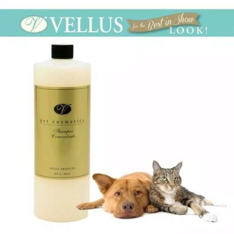 Jual Terbagus Vellus Shampoo Concentrate 32 oz di Seller Enigma - Kapuk ...