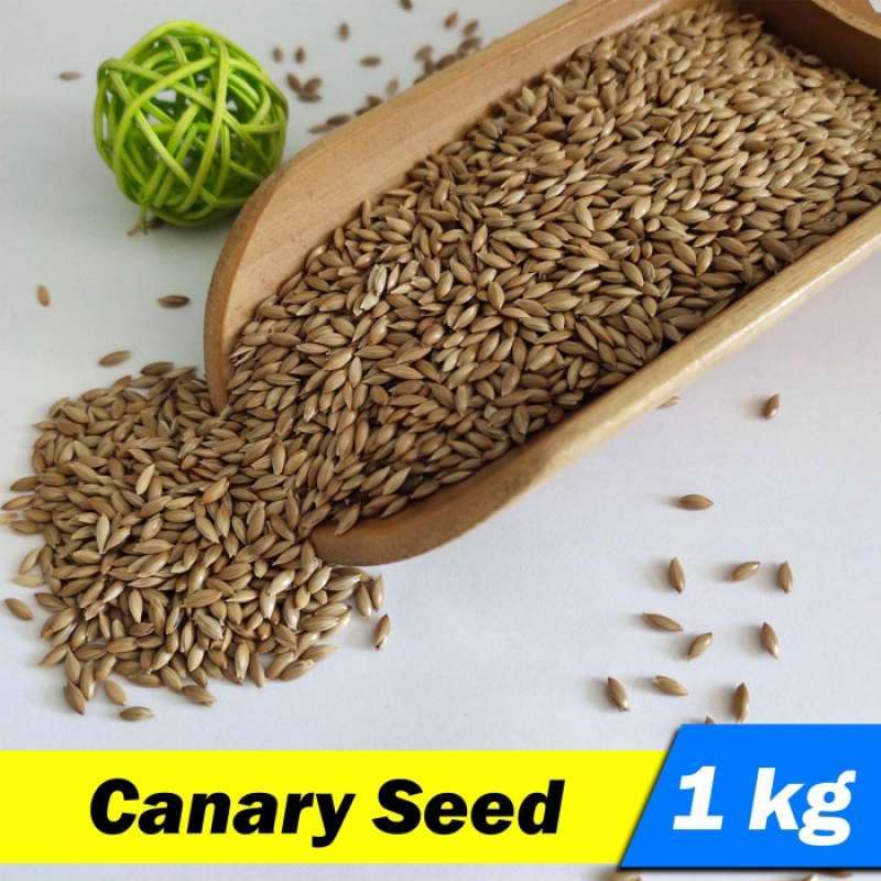 Jual Pakan Konslet Canary Seed 1Kg Pakan Burung Kenari Finch Lovebird ...