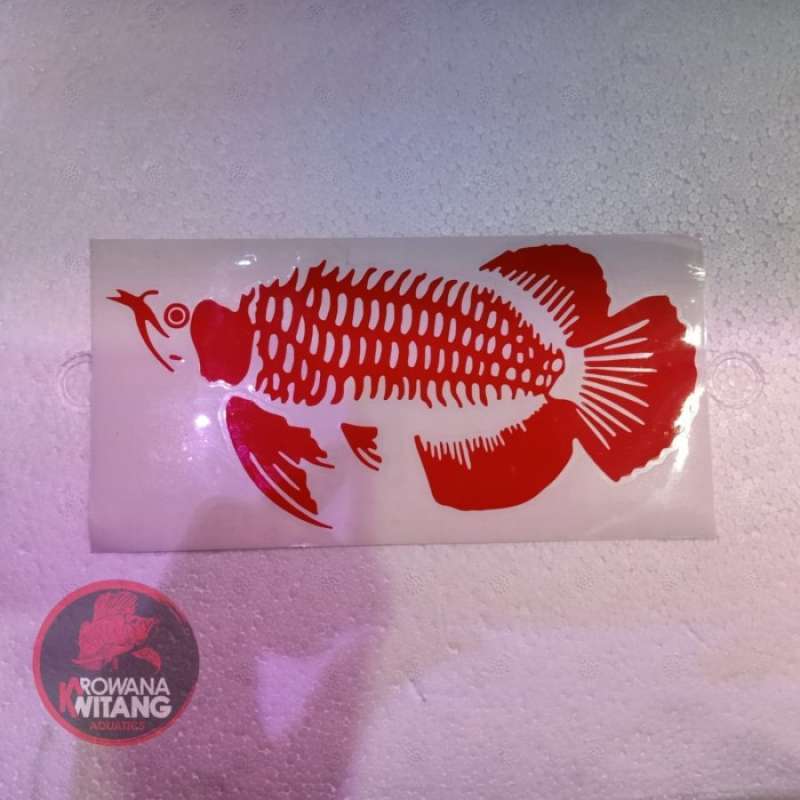 Jual Stiker Ikan Arwana Cutting / Sticker Ikan Arwana Cutting Murah ...