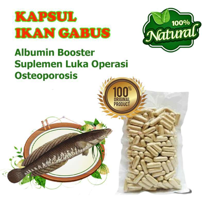 Promo KAPSUL IKAN GABUS Albumin Booster Penyembuhan Luka Operasi ...