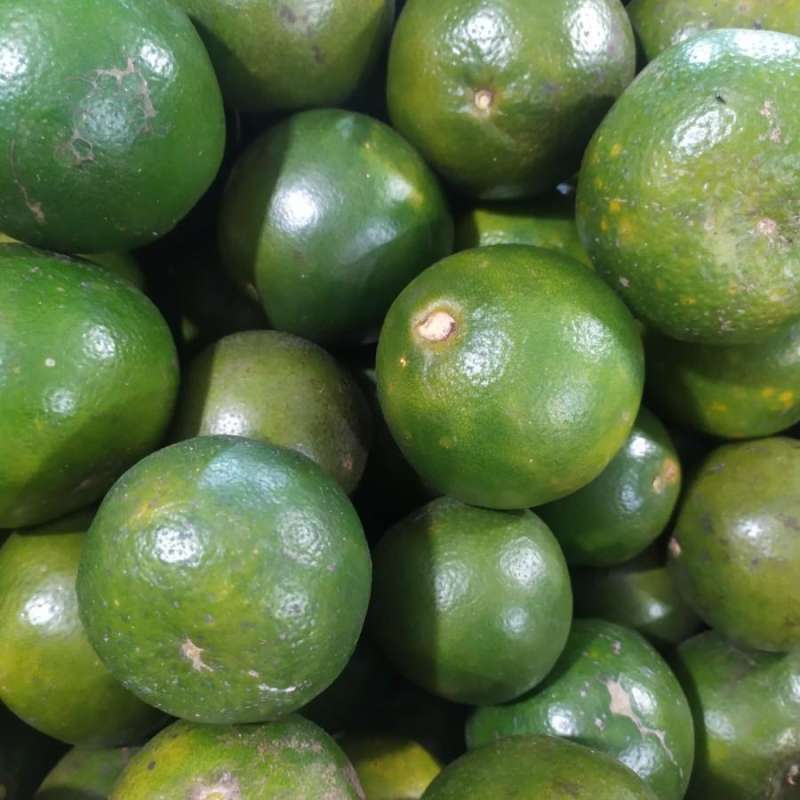 Jual JERUK HIJAU PERAS / JERUK SEGAR / JERUK FRESH / BUAH SEGAR 500gr ...