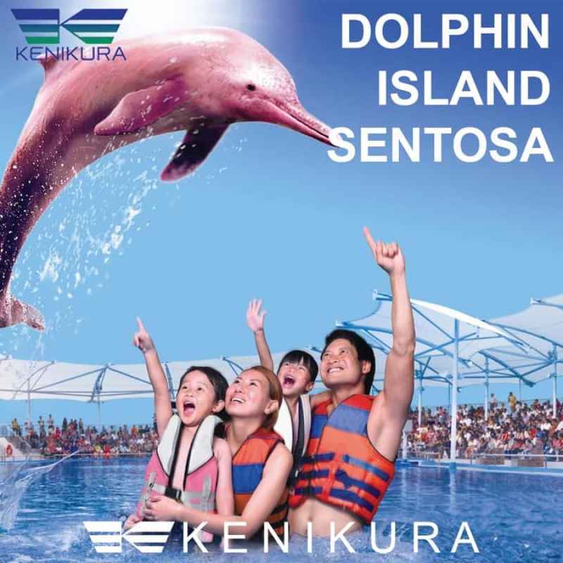 Jual Sentosa Discovery- Dolphin Island Interaction Programs Sentosa ...